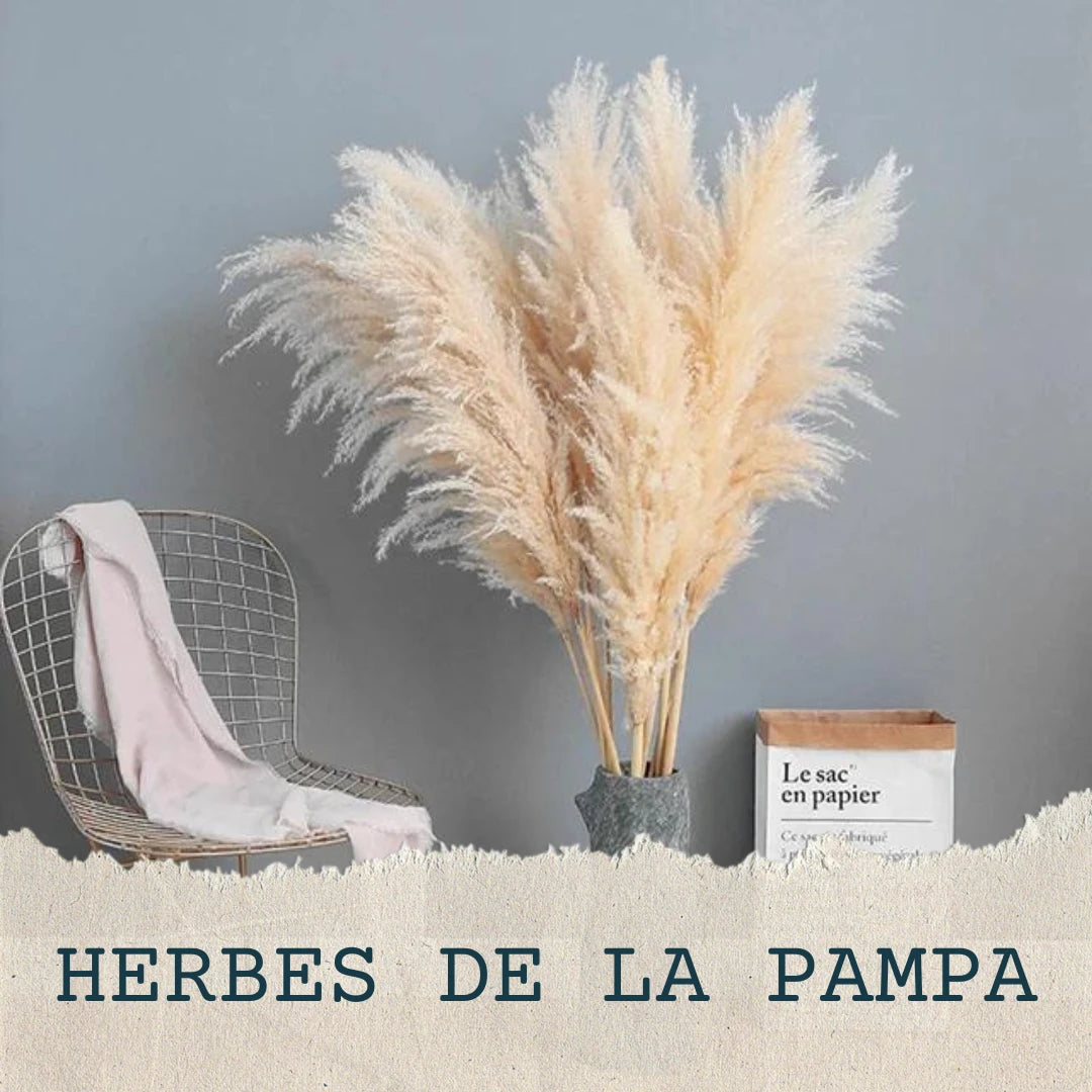 Herbes de la Pampa – Mes Fleurs Séchées: Maison Gaya